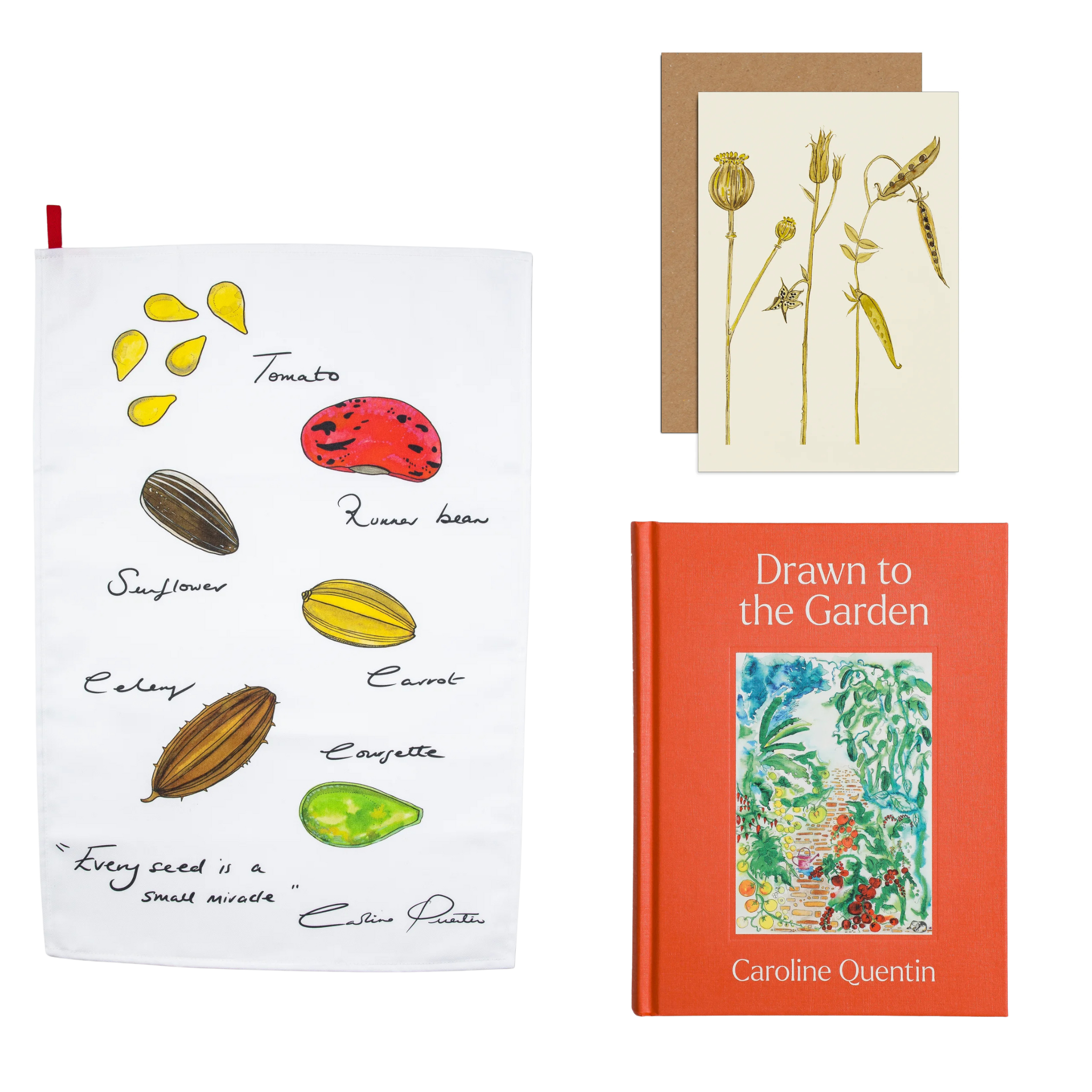 Read and Seeds Gift Set – CQ Gardens